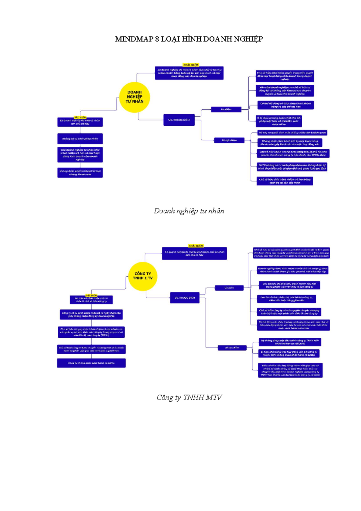 NHÓM-9 Mindmap - Nhập môn kinh doanh - MINDMAP 8 LOẠI HÌNH DOANH NGHIỆP Doanh nghiệp tư nhân ...