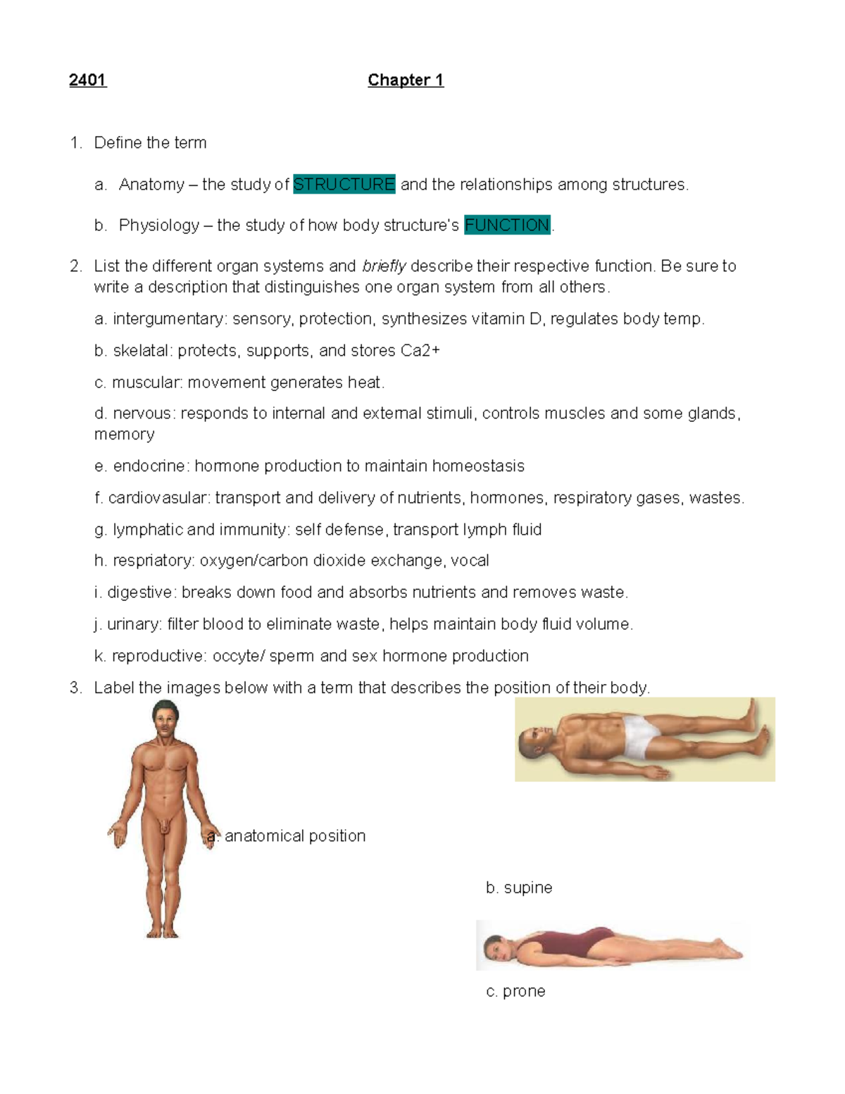 Anatomy & Physiology 2401 Chapter 1 Study Notes - Studocu