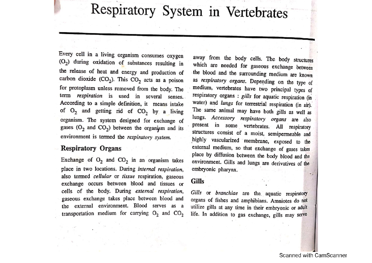 Vertebrate Respiratory Systems: Gills and Lungs Explained (BIO 101 ...