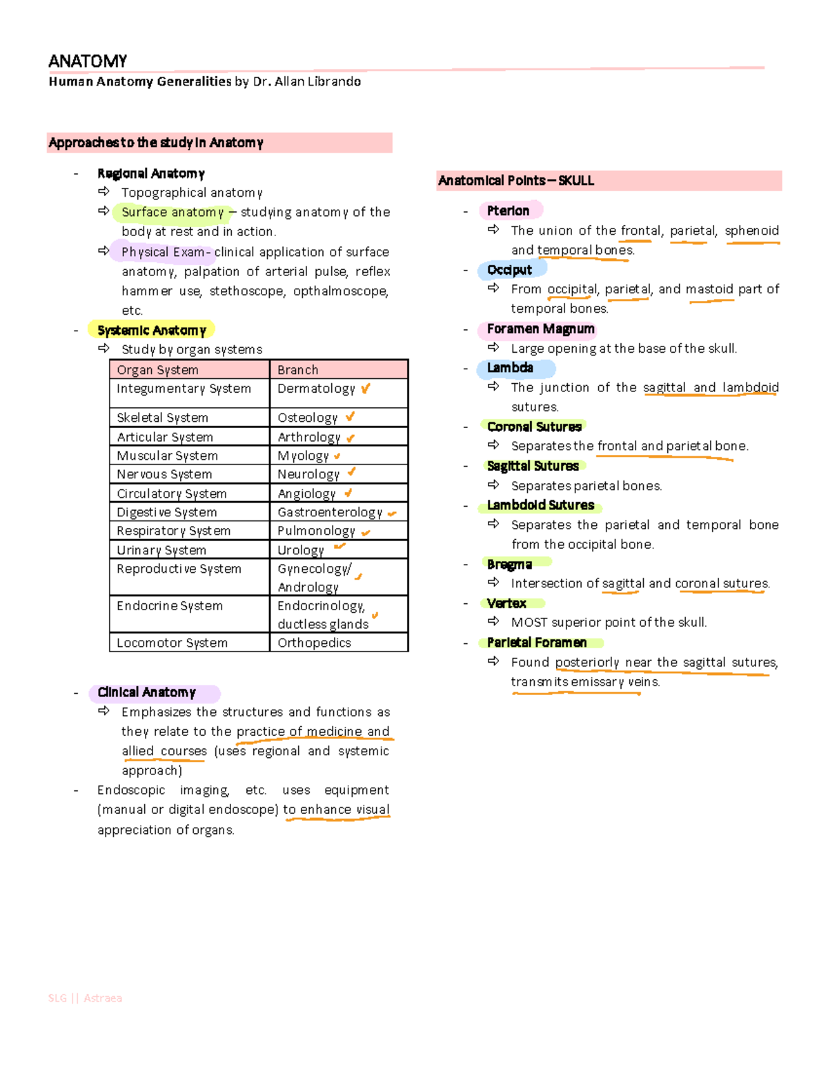 Human Anatomy Generalities (210817) - Comprehensive Study Guide - Studocu