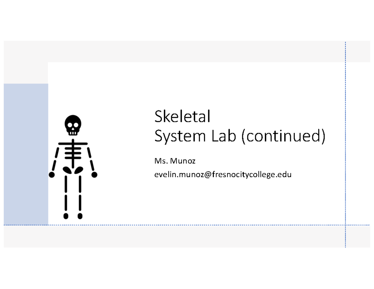 Skeletal System Lab: Appendicular Skeleton Overview - Studocu