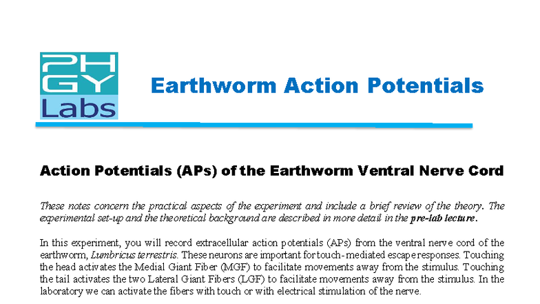 PHGY 212 Earthworm Action Potentials Lab Manual - Fall 2024 - Studocu