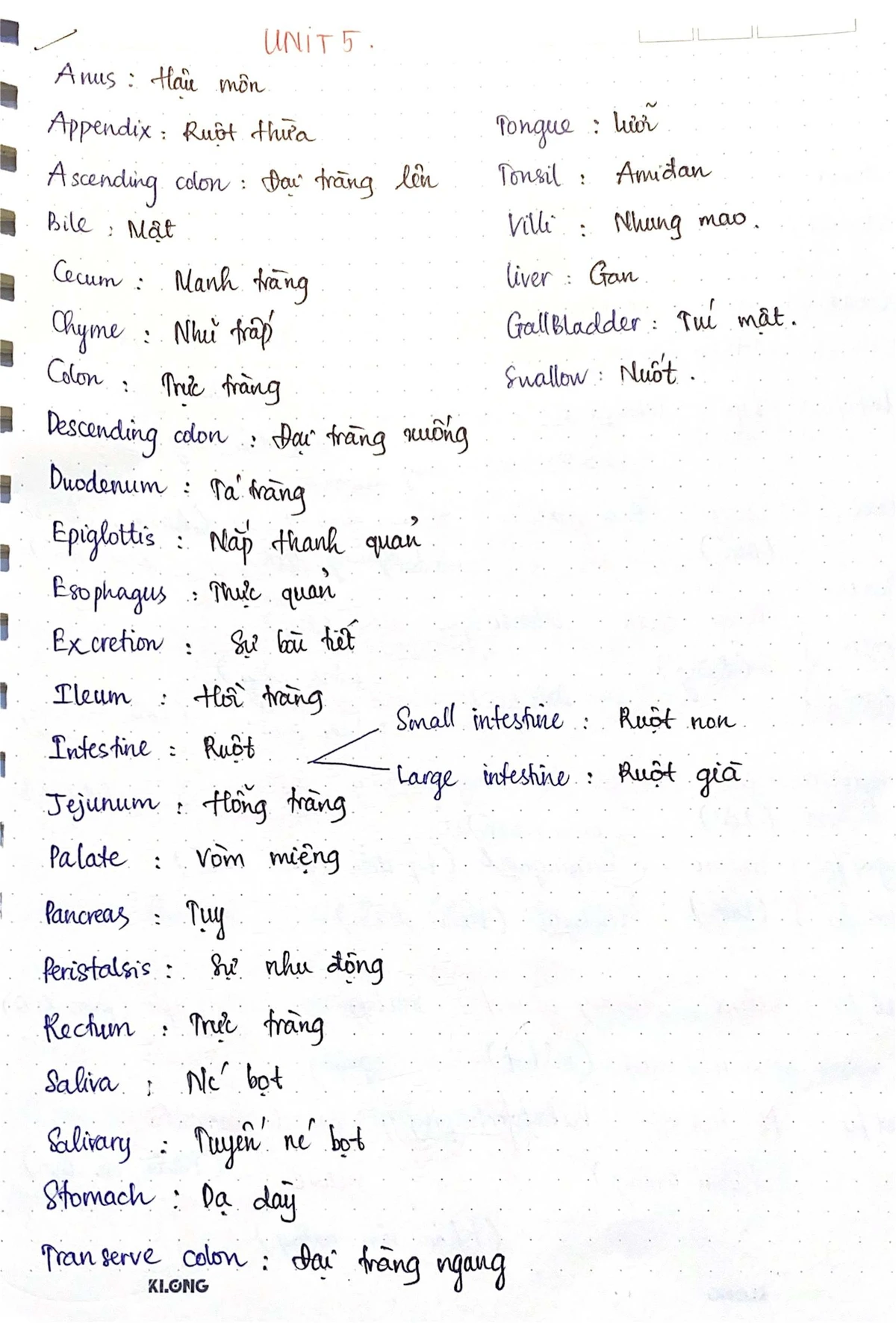Unit 5 & 6: Digestive and Urinary Systems Overview Notes - Studocu