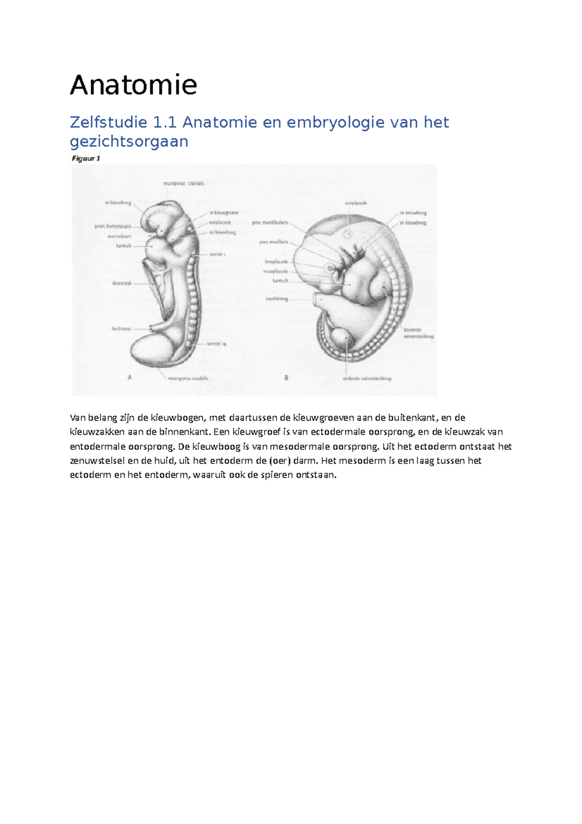 Anatomie Samenvatting Modul 9: Oog- en Oorembryologie en Fysiologie ...