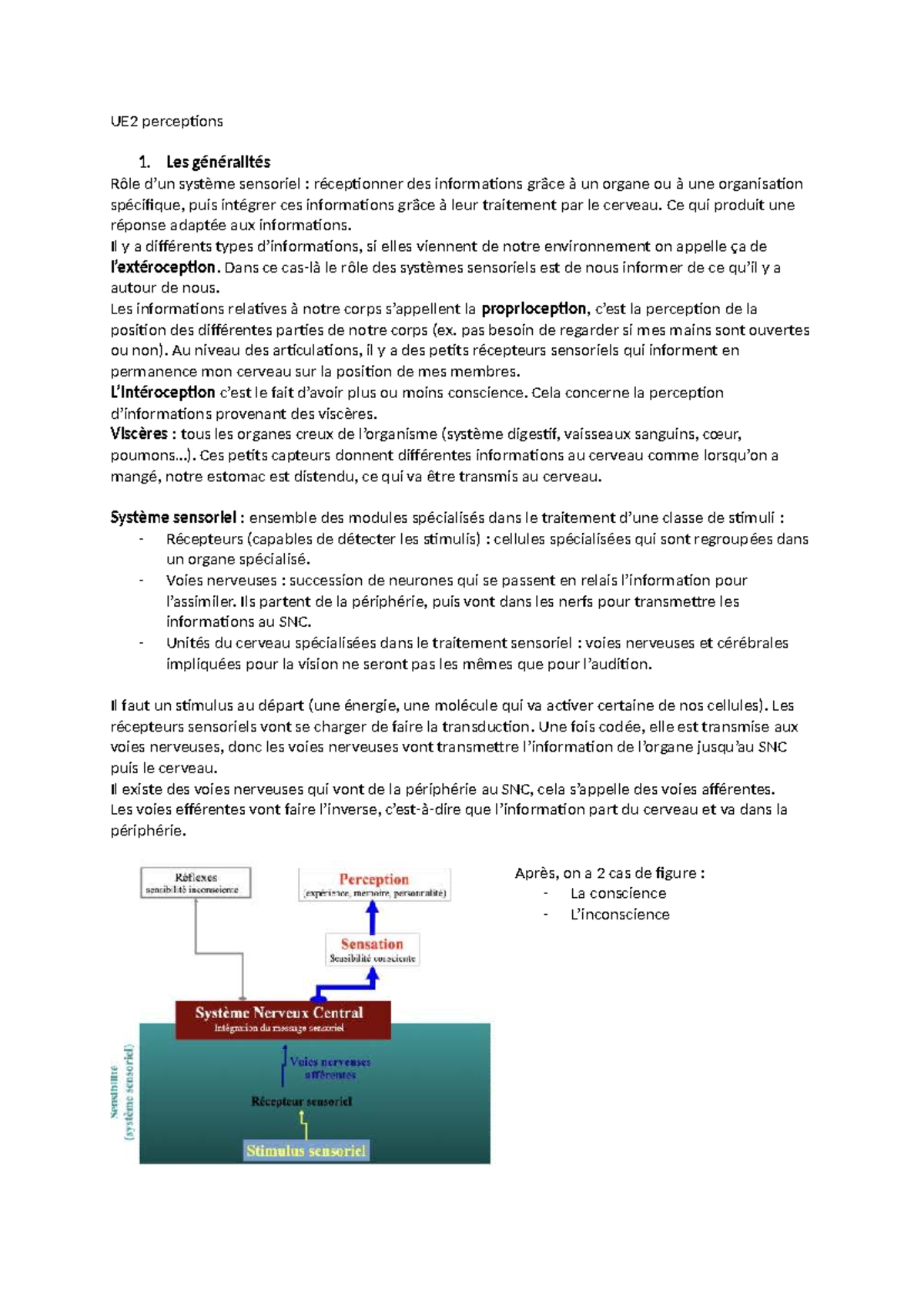 UE2 Bellanger - Cours sur le Système Sensoriel et la Perception - Studocu