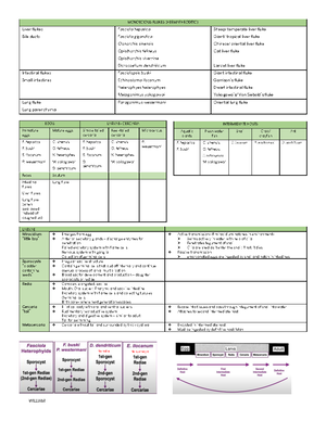 NCP edema - NCP making - NURSING CARE PLANS Nursing Diagnosis: Excess ...