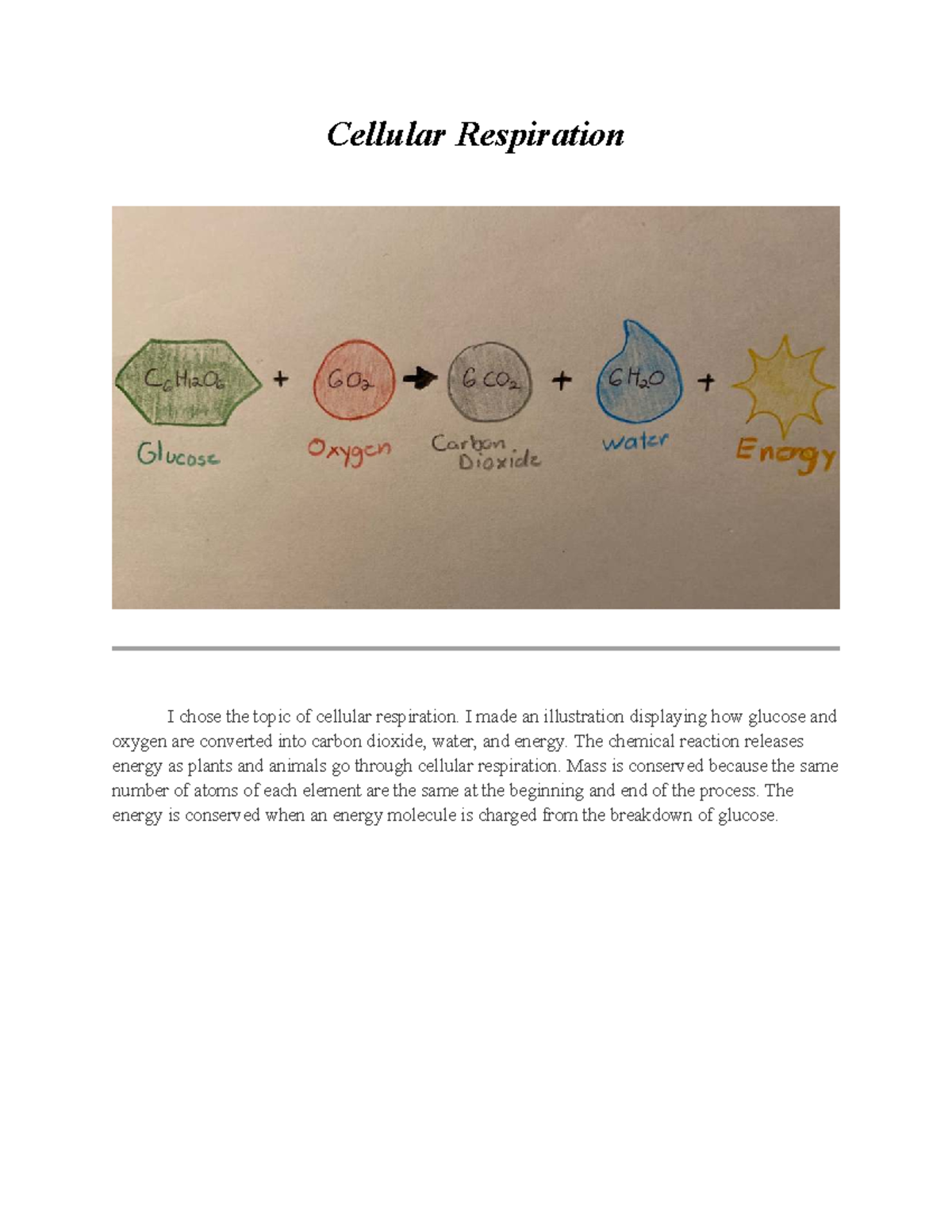 4.06 Conservation model - Cellular Respiration I chose the topic of ...