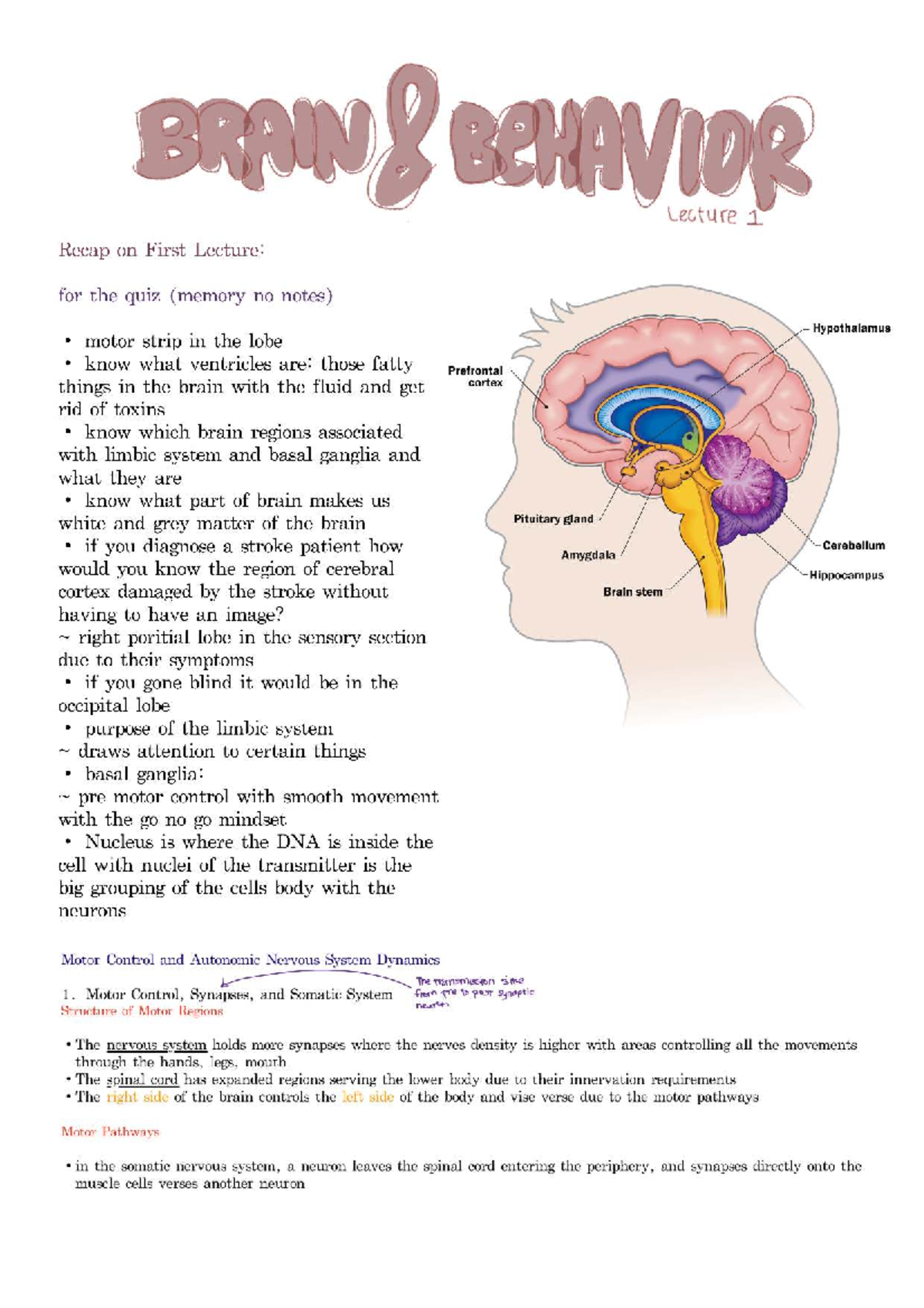 XYZ Course - Comprehensive Final Exam Study Notes on Behavior and ...