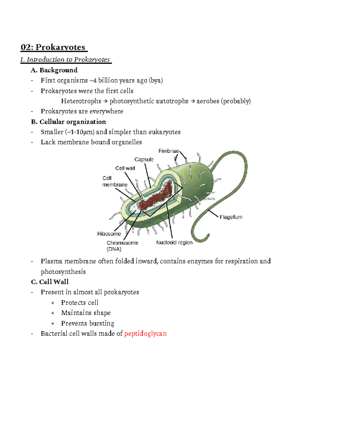 02: Lecture Notes on Prokaryotes I: Introduction and Diversity - Studocu