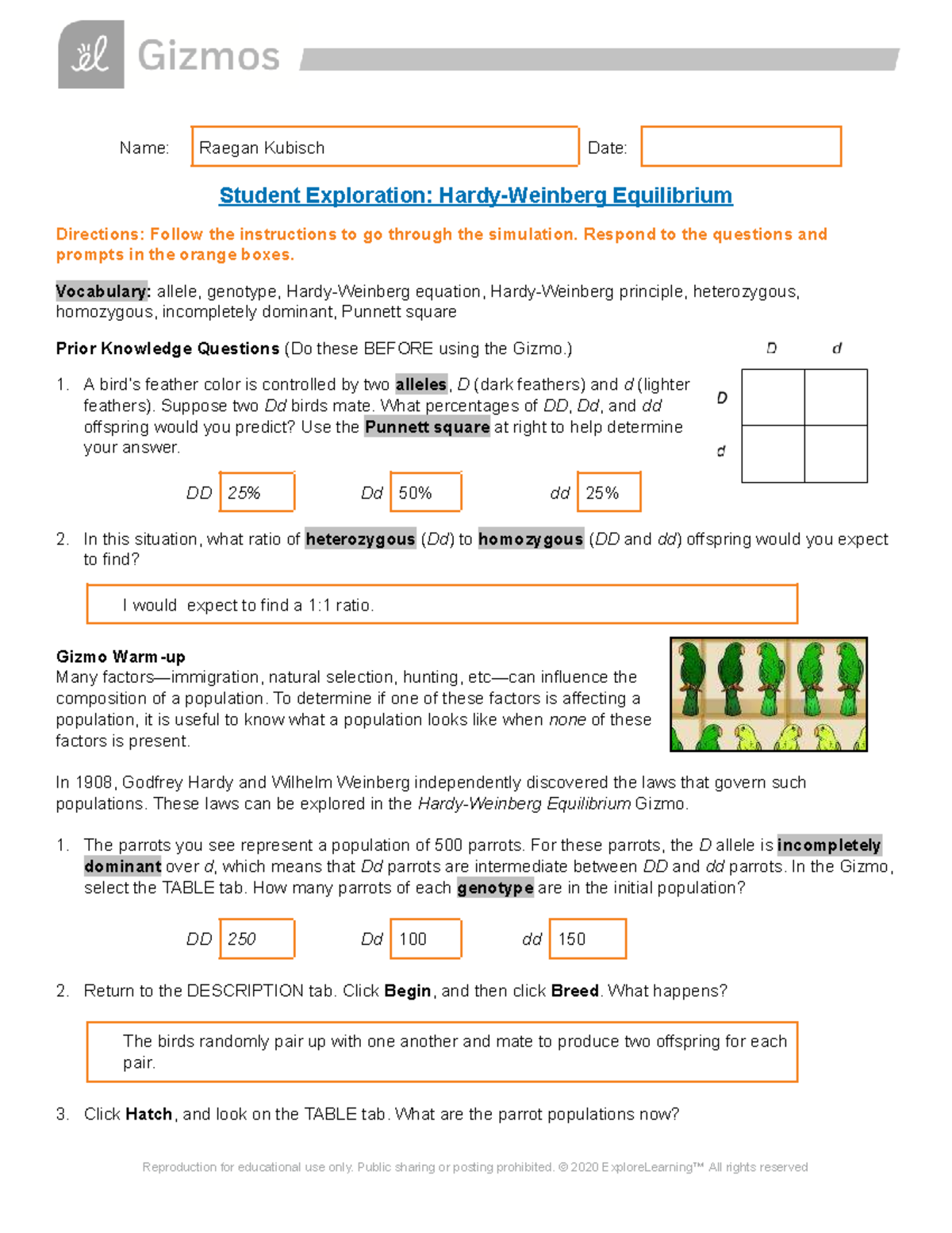 Hardy-Weinberg Equilibrium Exploration: Student Guide (Biology 101 ...