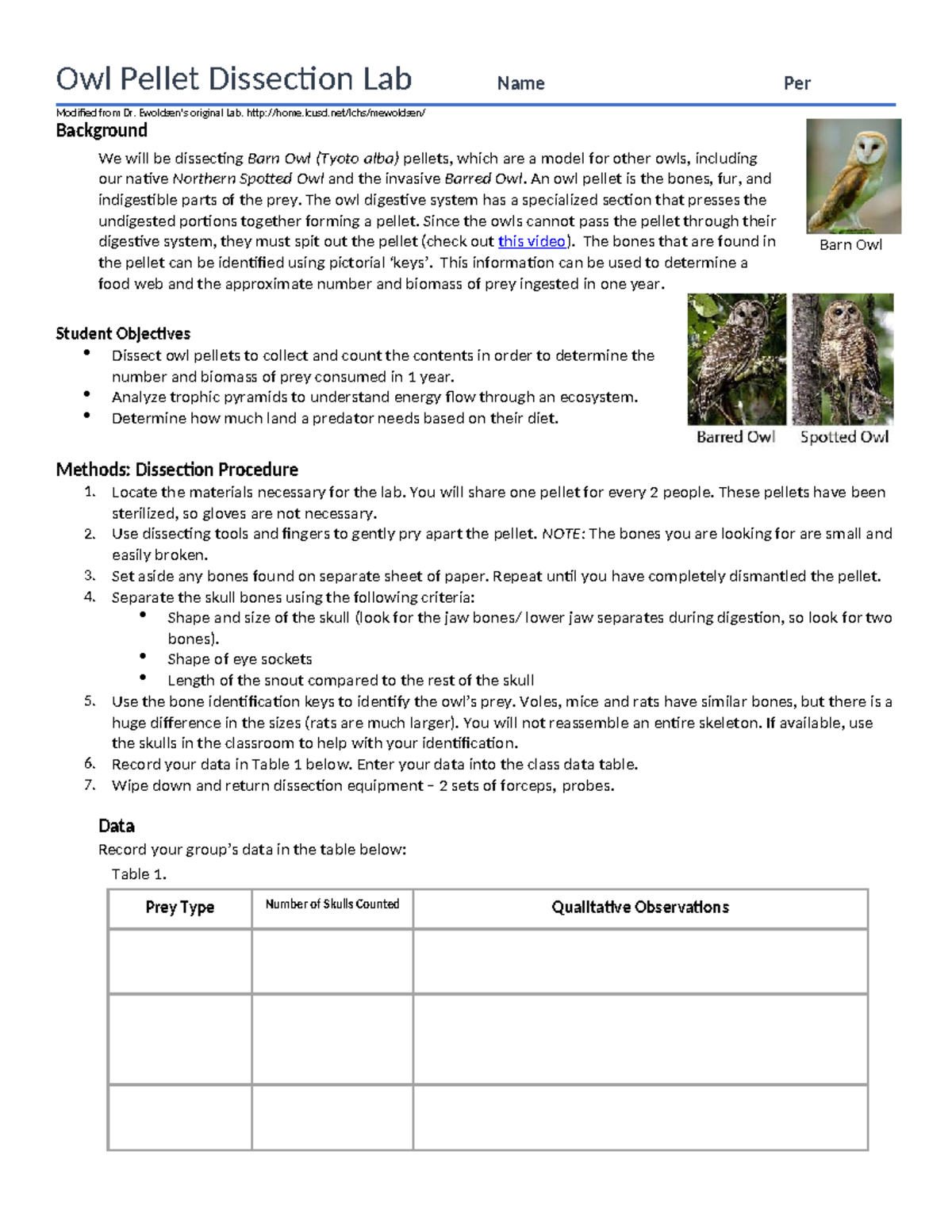 Owl Pellet Dissection Lab (BIO 101): Analyzing Barn Owl Diet and ...