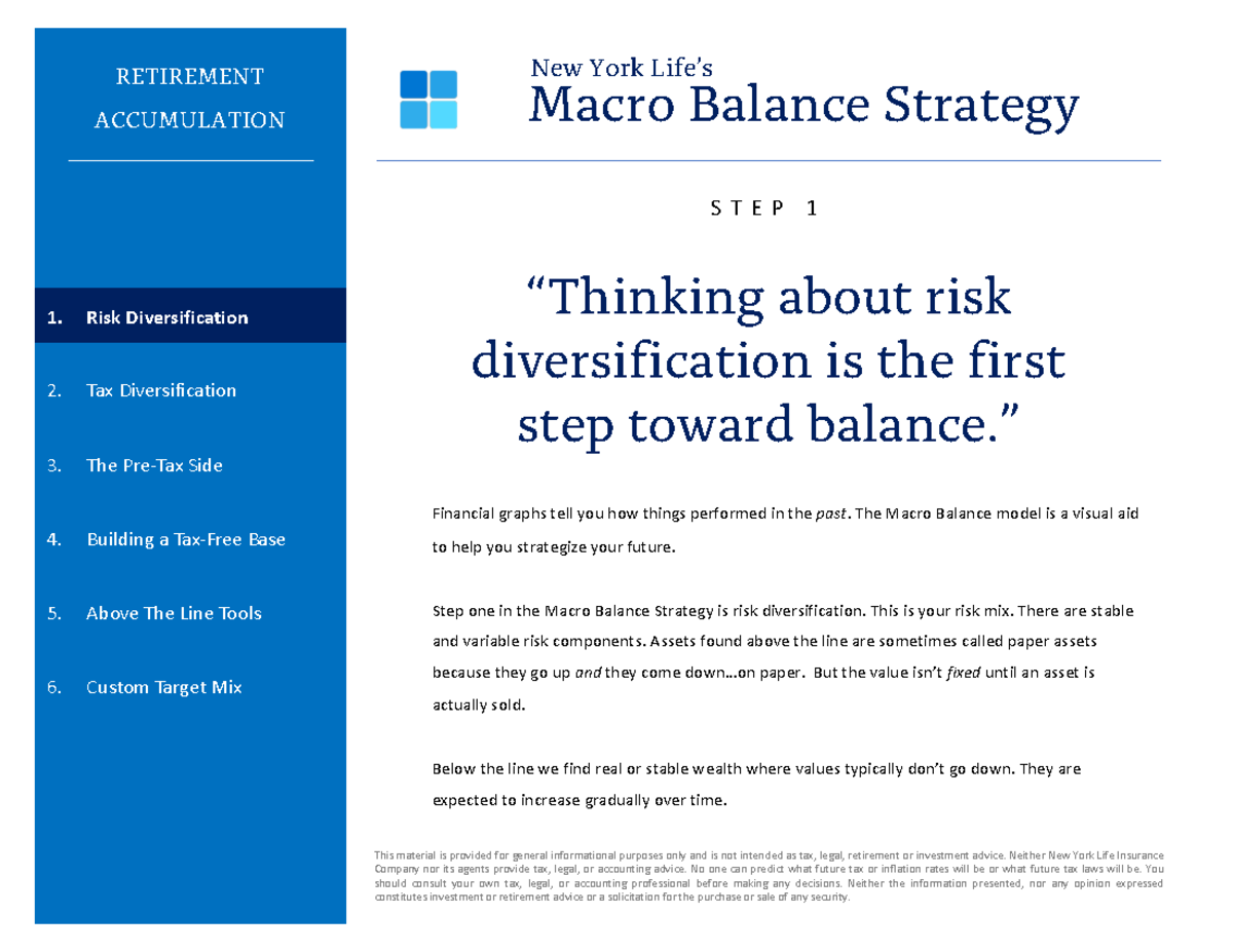 Macro Balance Strategy: Retirement Accumulation and Risk ...
