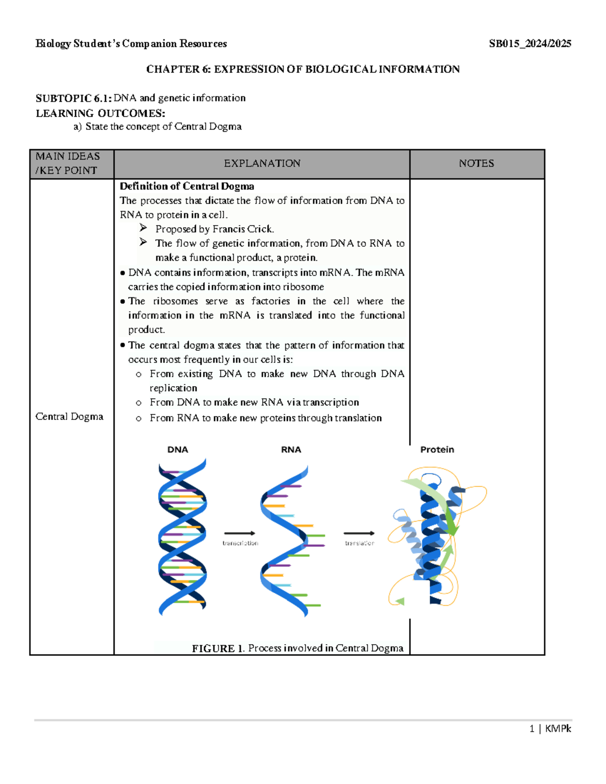 Chapter 6 - Expression of Biological Information in Biology 101 - Studocu
