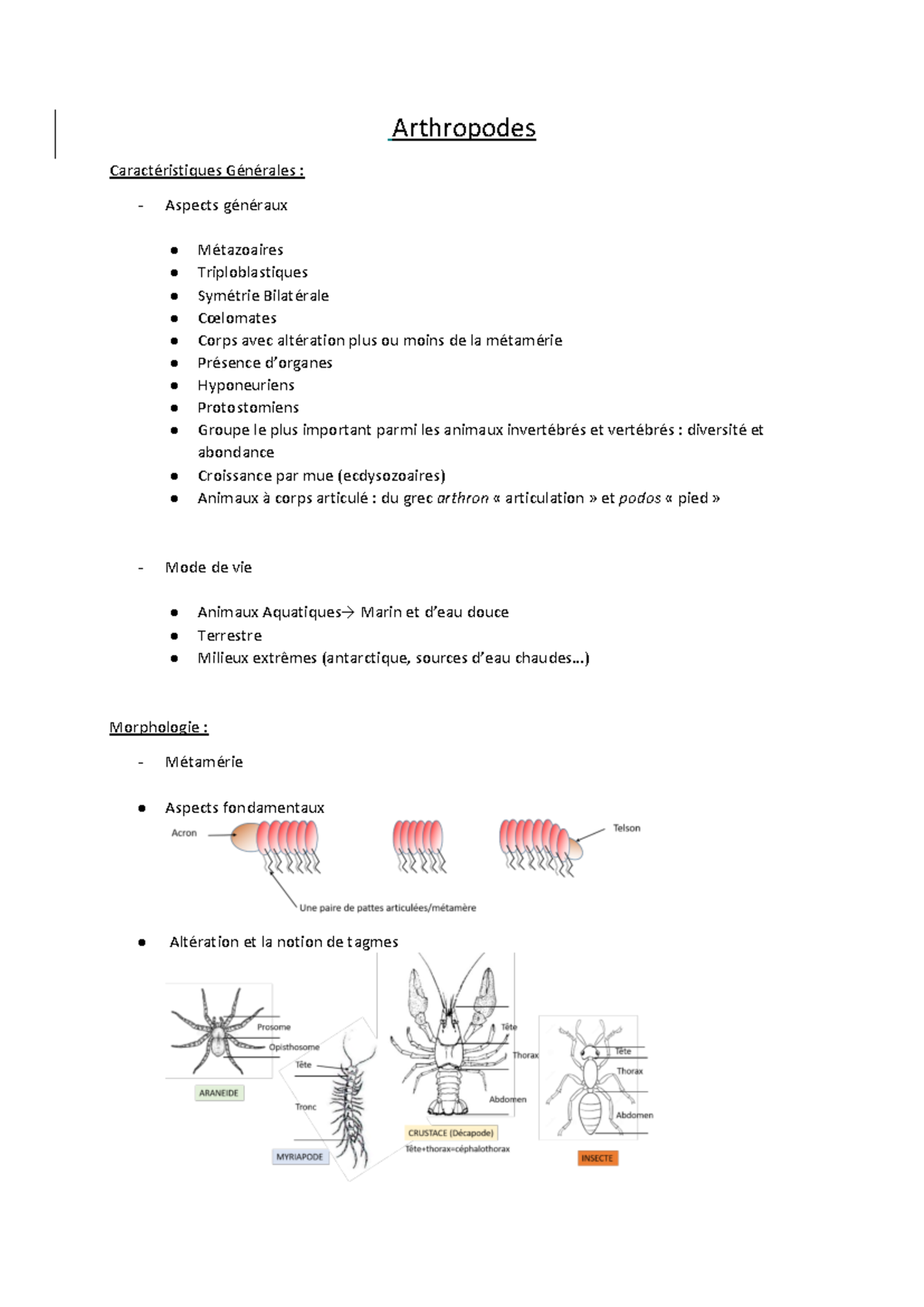 Arthropodes - Arthropodes Caractéristiques Générales : - Aspects ...