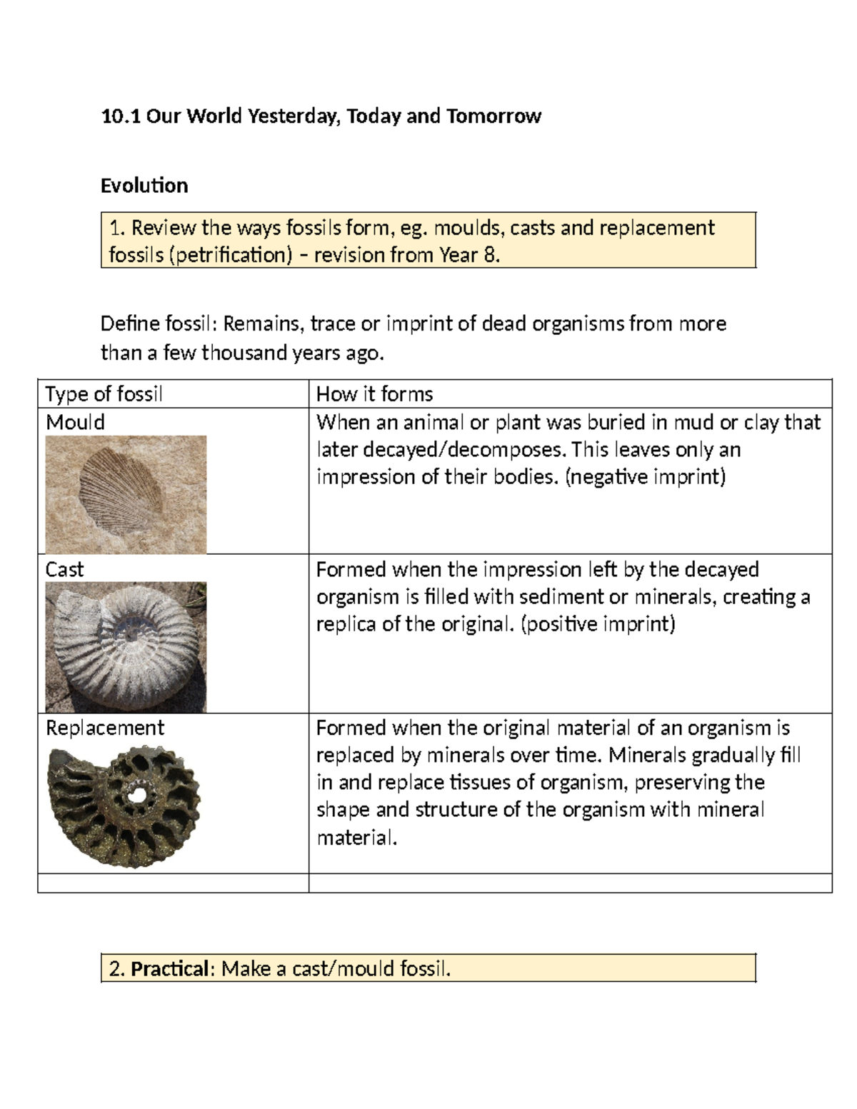Science Task 2 - Chem Notes Year 10: Evolution, Fossils & Motion - Studocu