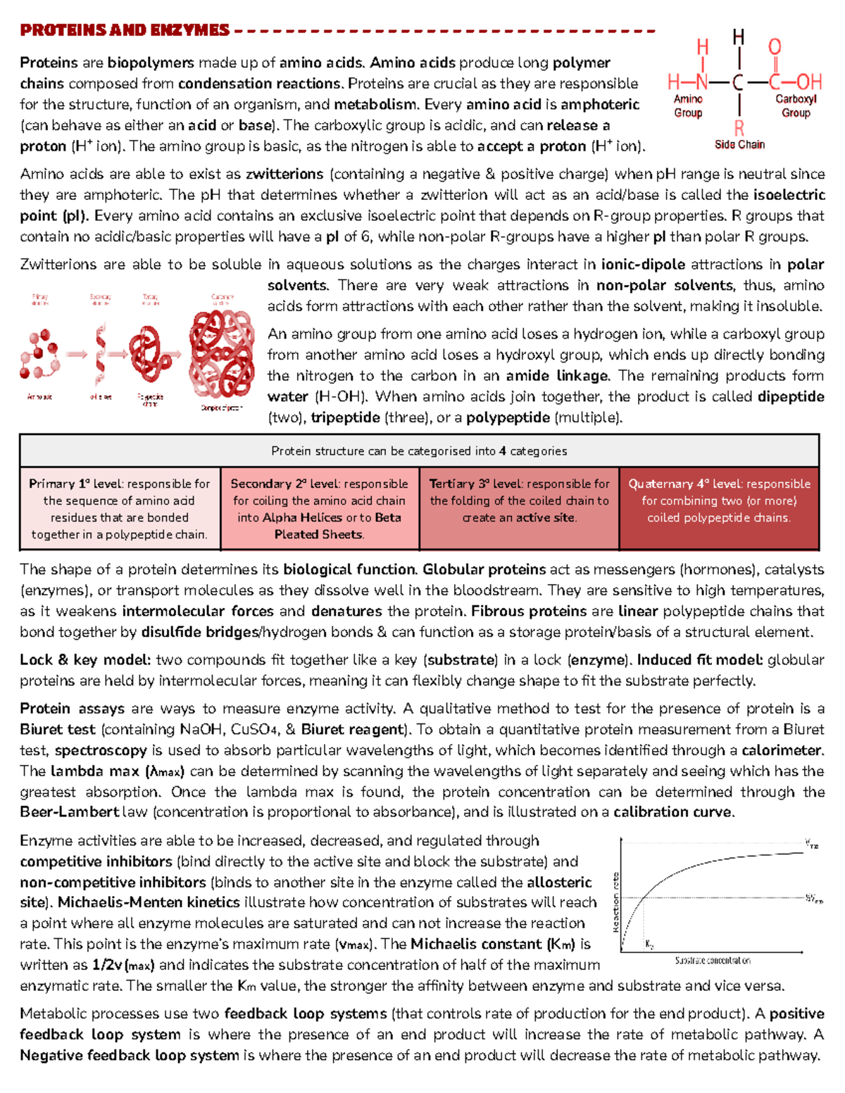 Biochemistry Cheat Sheet: Key Concepts in Proteins, Lipids, & Nucleic ...