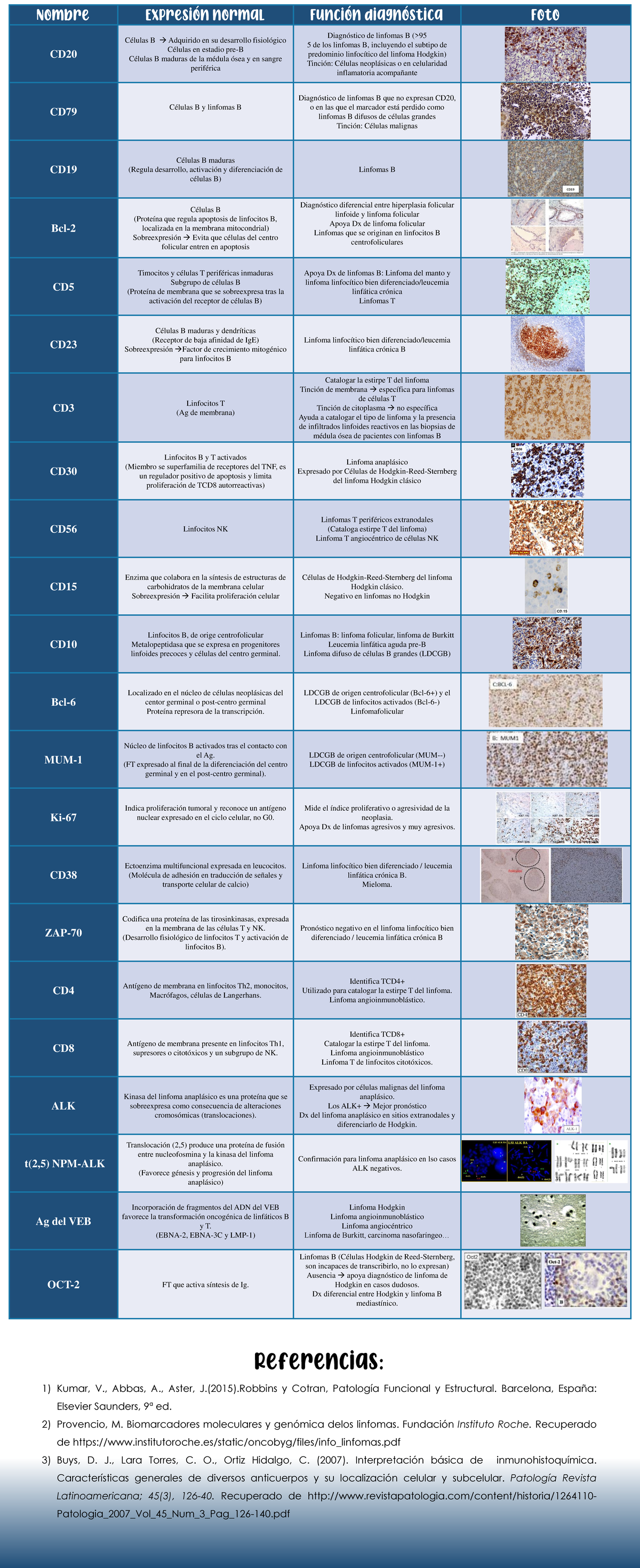 CDs en Linfomas: Funciones Diagnósticas y Expresiones Clave - Studocu