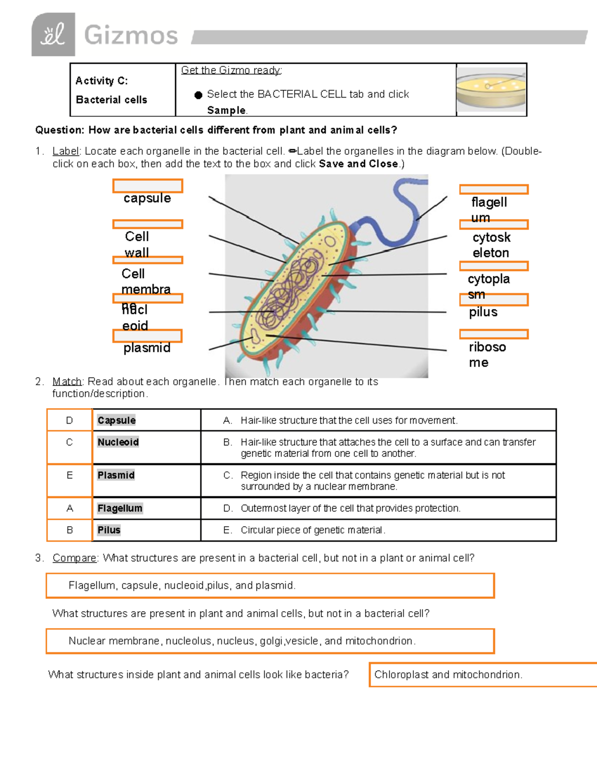 Explore Learning Gizmo - Cell Structure Activity C - Activity C ...