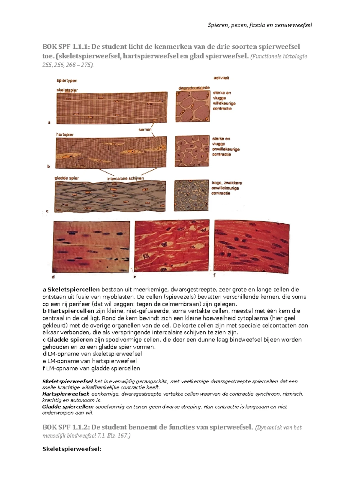 Hoofdstuk 1 Bouw en functie van skeletspieren - Bouw en functie van ...