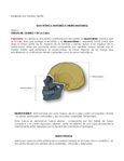 Neuroanatomía - UDO - Studocu
