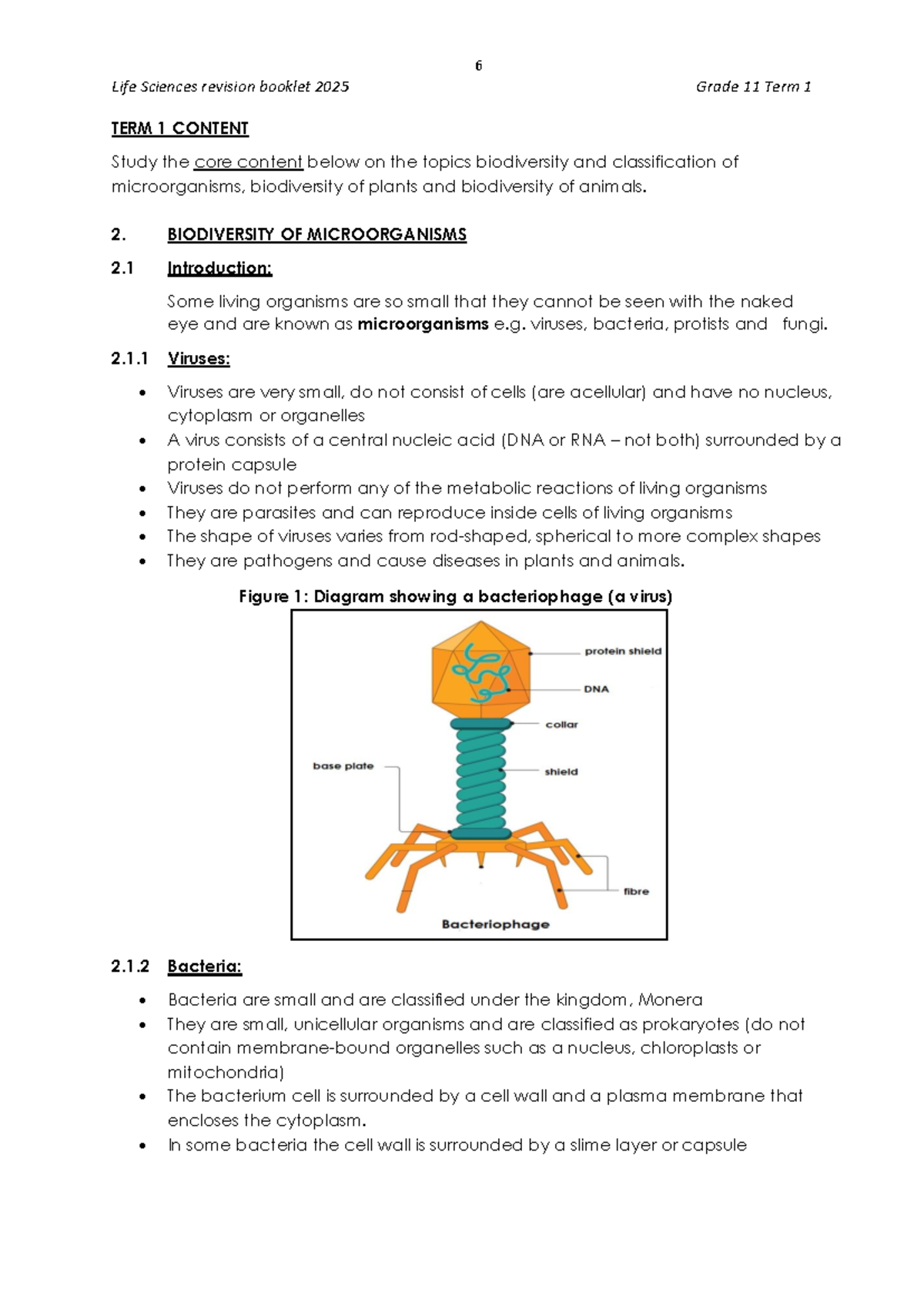 Life Sciences revision booklet 2025: Grade 11 Term 1 biodiversity notes ...
