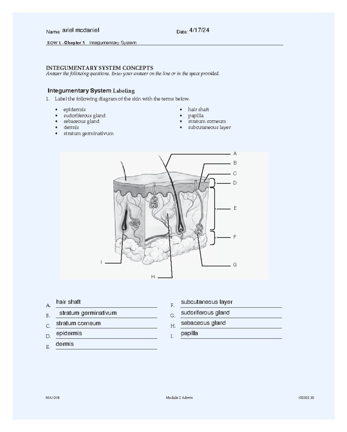 MA101B ROW 1 Chapter 5 Integumentary System Study Notes - Studocu
