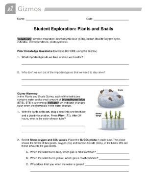 490502557 Unit 1 Geometry Basics 1 - Name: Unit 1: Geometry Basics Date ...