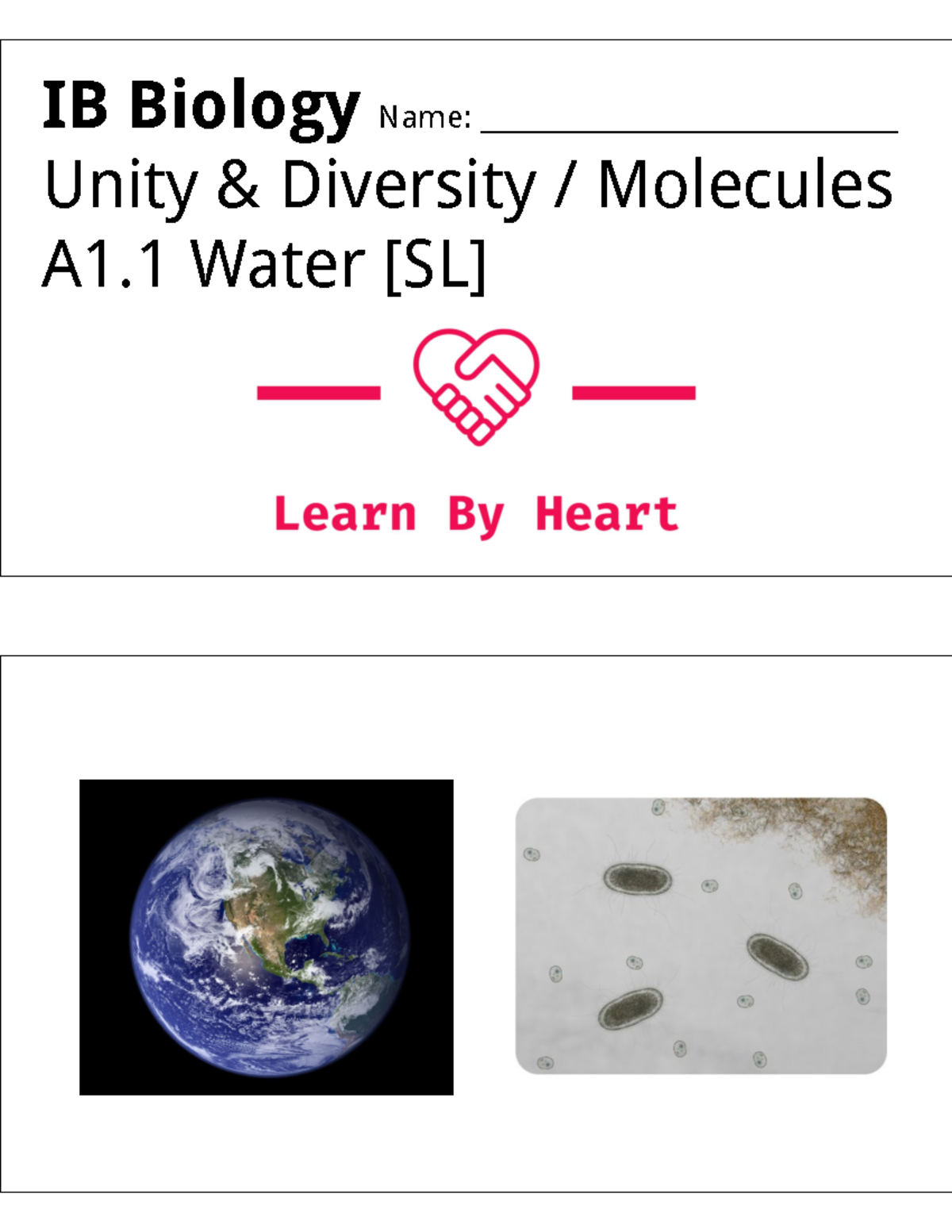 IB Biology Final Exam Notes: Unity & Diversity / Molecules - Studocu