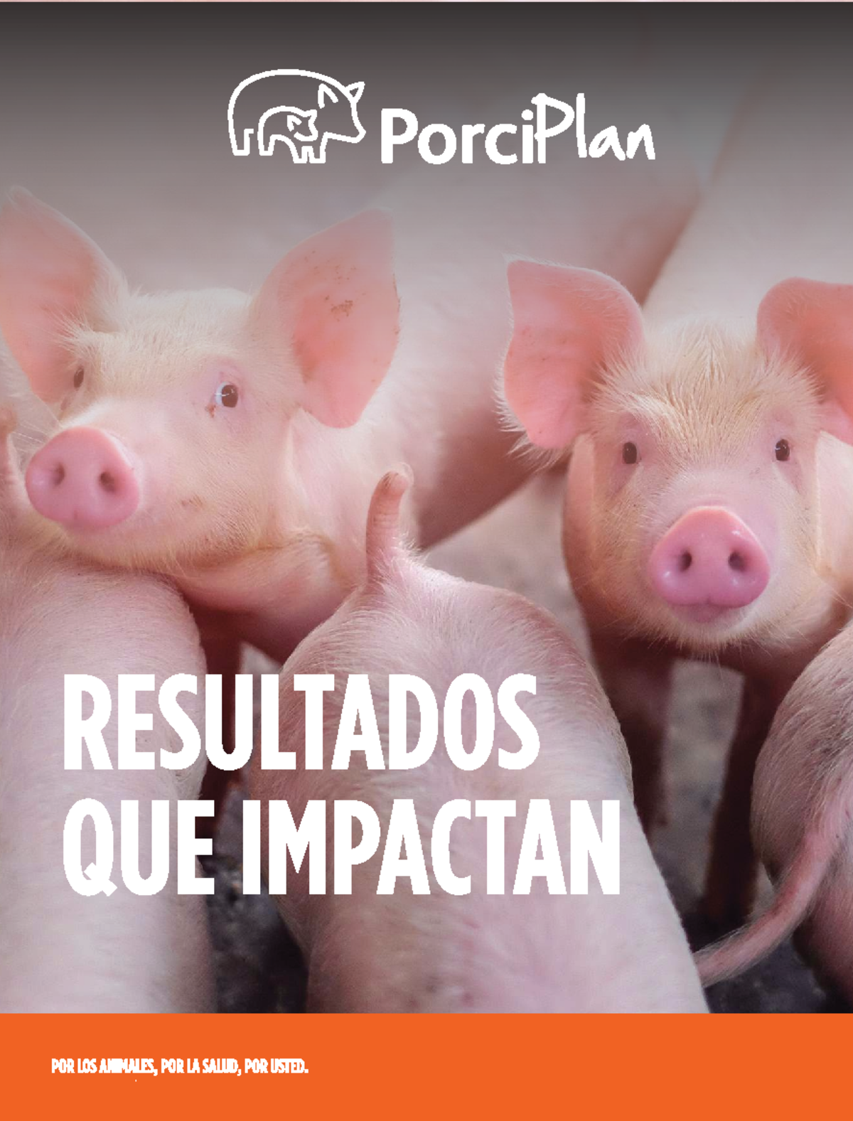 _Programas de Vacunación en Cría: Porciplan 2021 (Zoetis)_ - Studocu