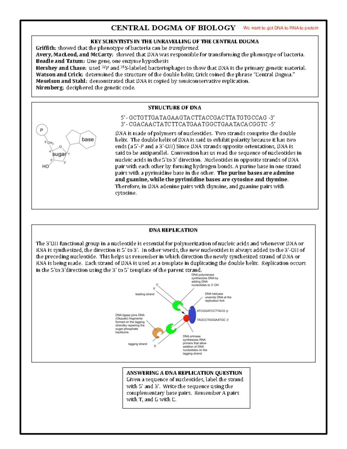 Central Dogma of Biology Cheat Sheet: Transcription & Translation ...