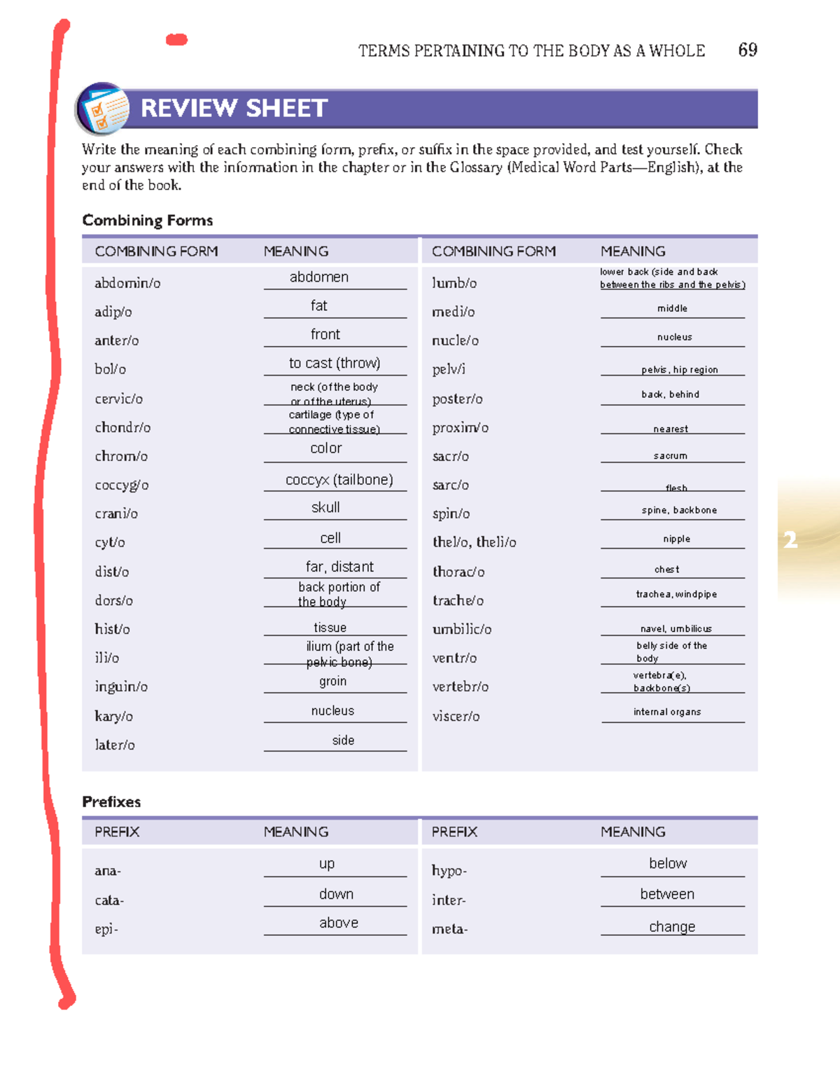 Medical Terminology Review Sheet - MT 101 - Studocu