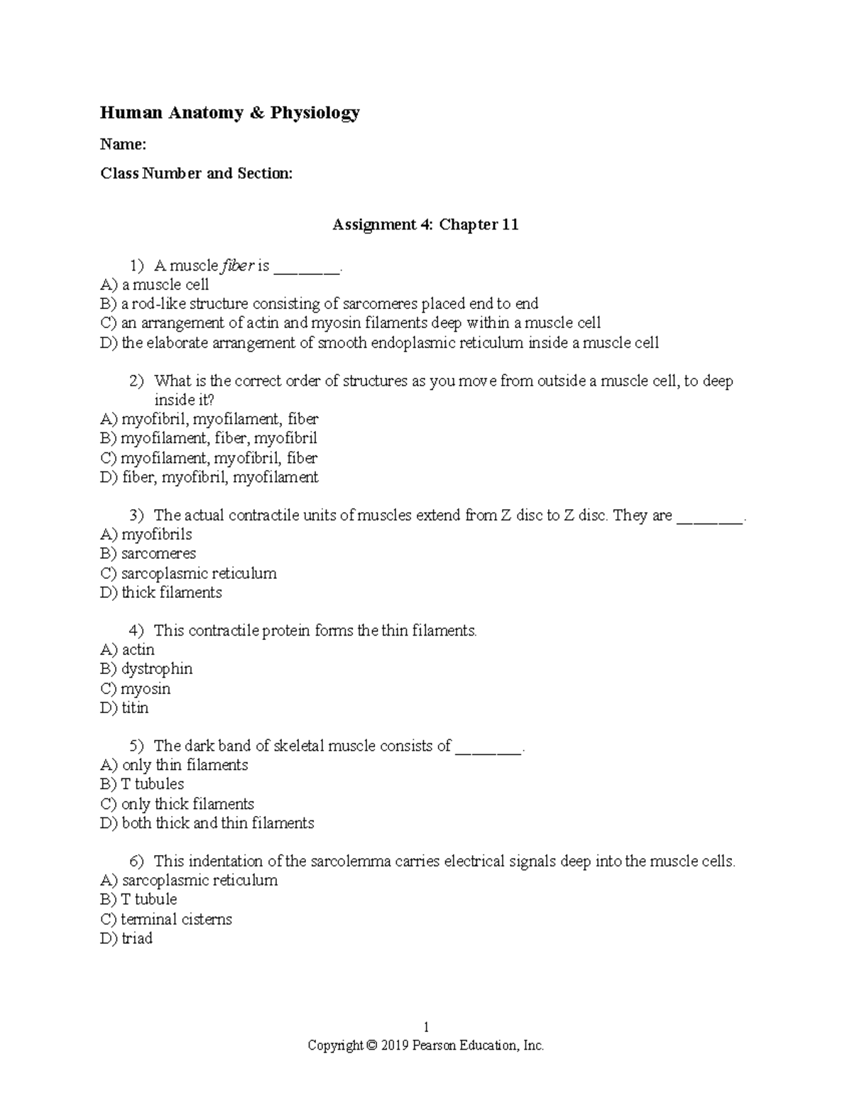 Human Anatomy & Physiology (Assignment 4: Chapter 11) - Studocu