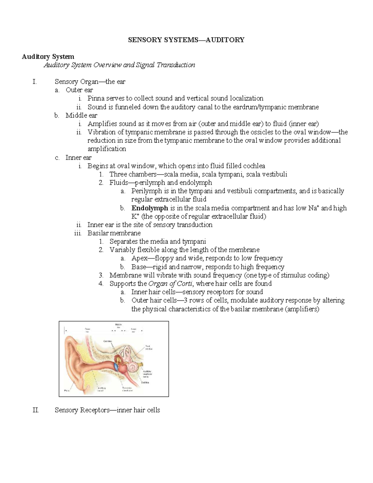 Auditory System Overview & Signal Transduction - SENSORY SYS - Studocu