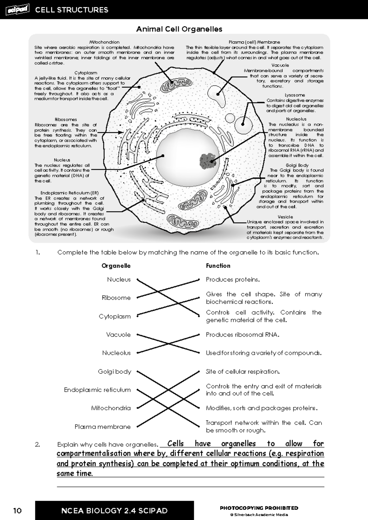 NCEA Biology 2 SciPAD: Animal Cell Structures & Functions Notes - Studocu