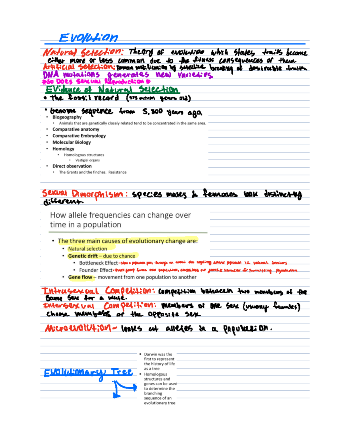 Evolutionary Biology - evolution - Evolution Natural Selection Theory ...