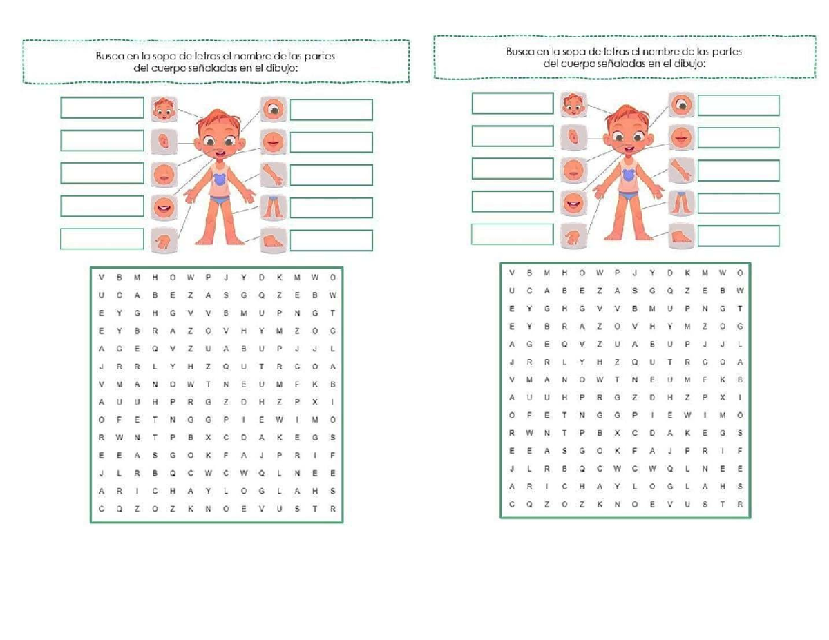 Sopa de Letras: Partes del Cuerpo en Español - Studocu