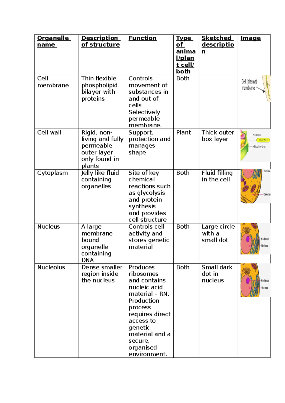 BIO MOD 1 Organelle Structure and Function Overview - Studocu