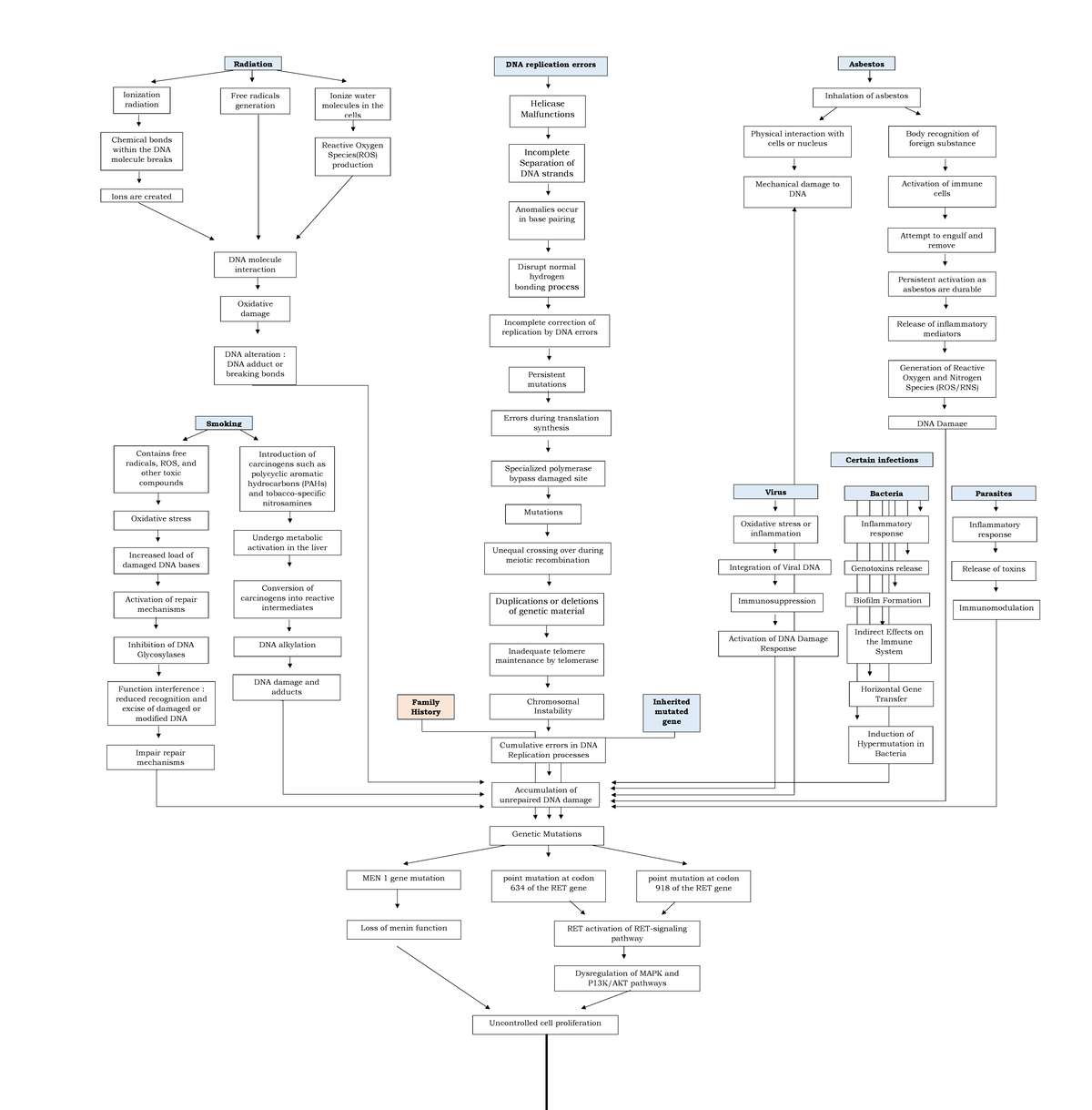 Final Exam Pathophysiology: MEN Type 2 and DNA Damage Mechanisms - Studocu