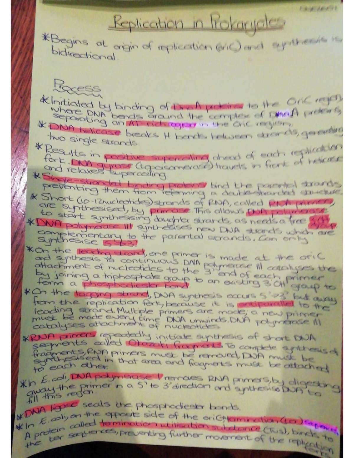 Replication Process in Prokaryotes (CRIC) - Key Mechanisms Explained ...