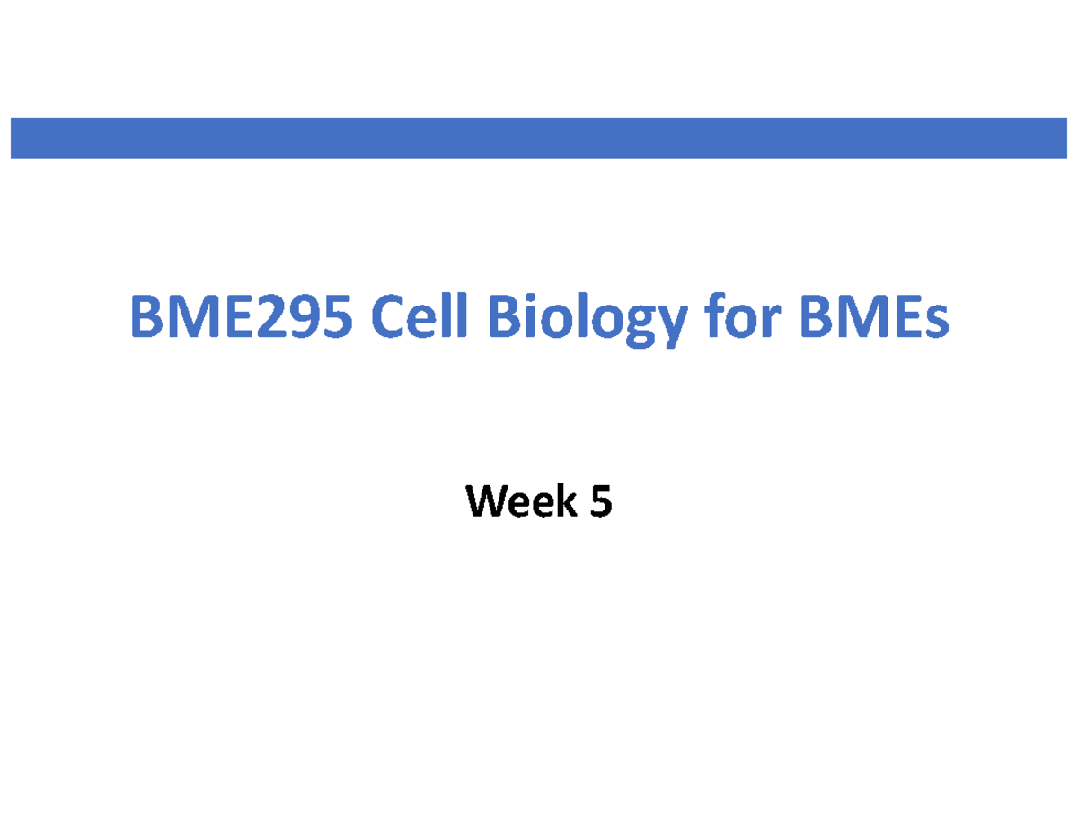 BME295 Final Exam Notes: Mitochondria & Energy Production - Studocu