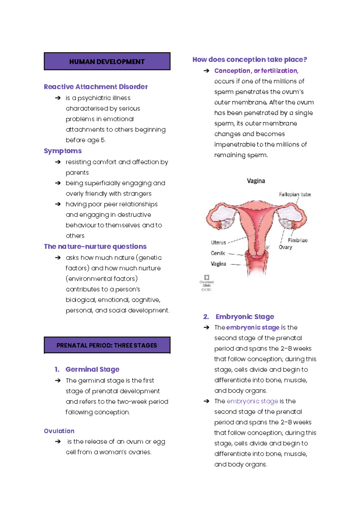HUMAN DEVELOPMENT: Conception, Stages, and Attachment Insights - Studocu