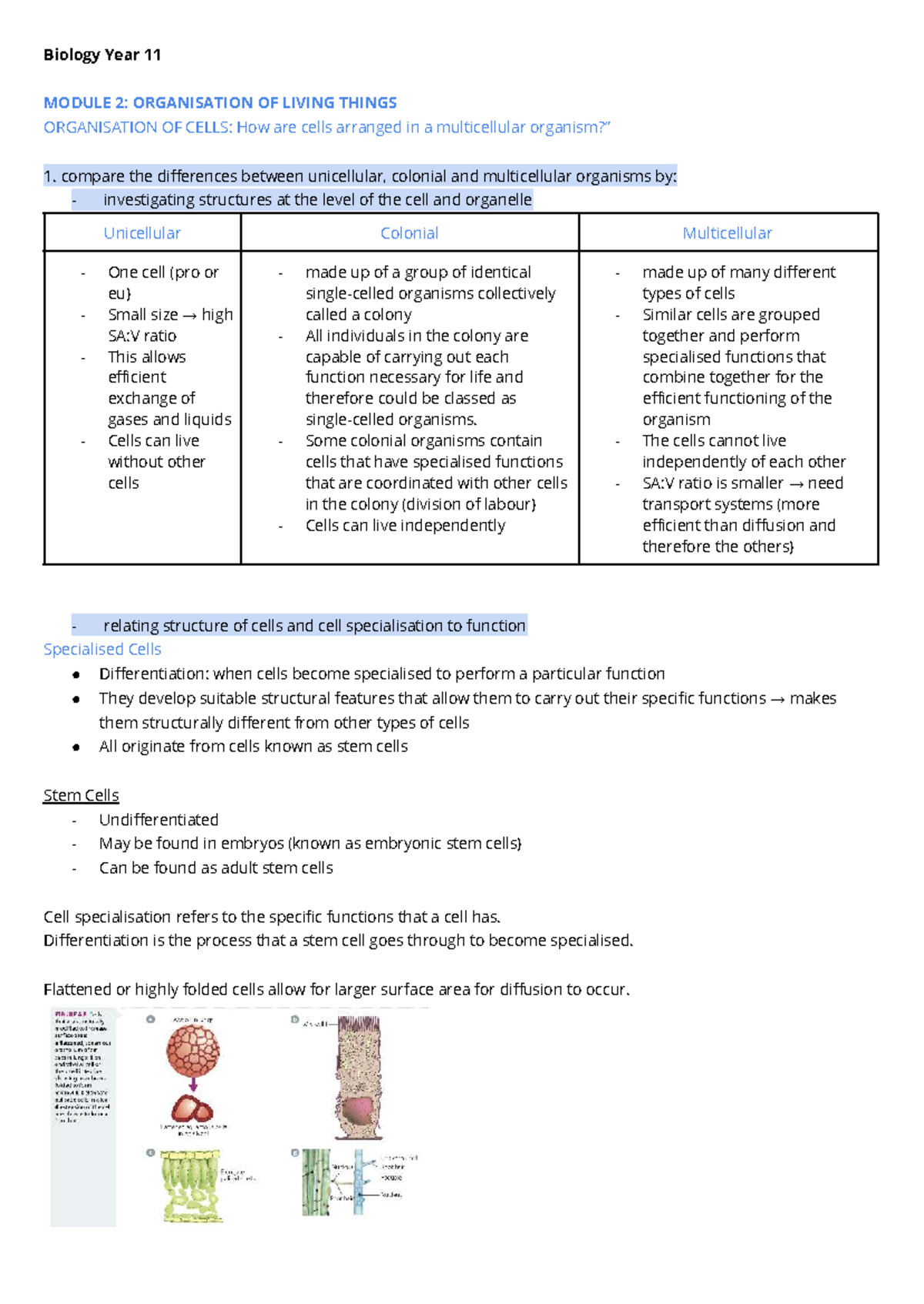 Biology Year 11 Module 2: Organisation of Living Things Notes - Studocu