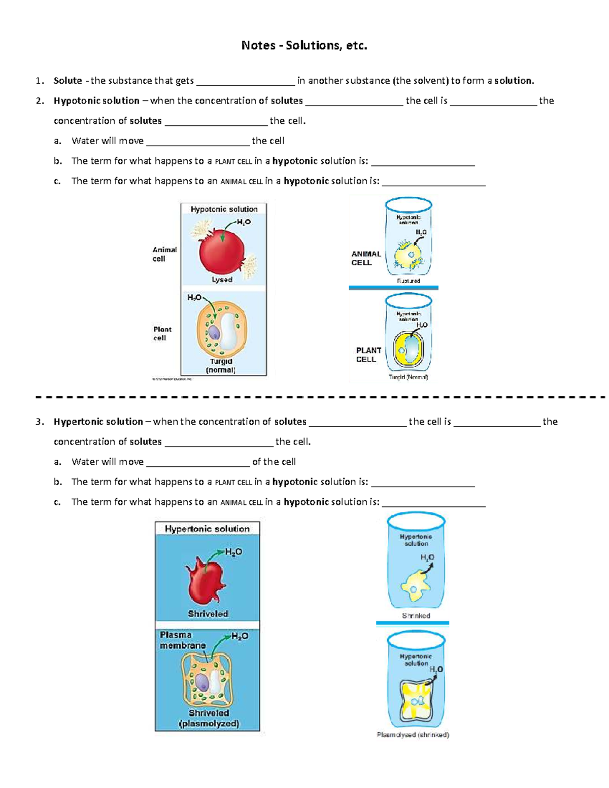 Guided Notes on Diffusion & Solutions for Biology Class - Studocu