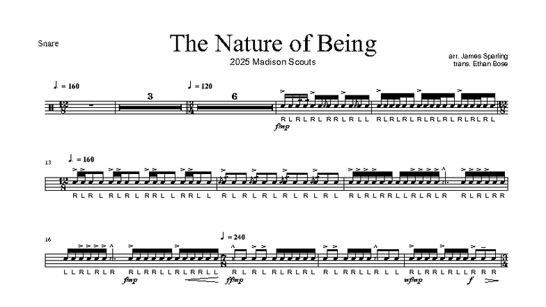 Madison Scouts 2025 - Full Show Performance Analysis - Studocu