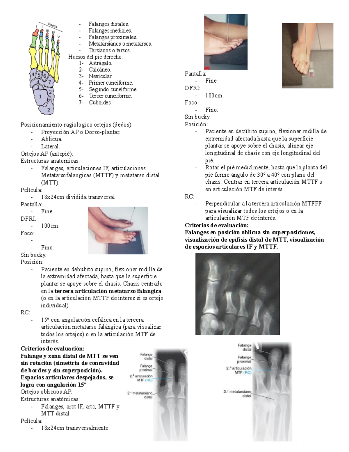 RX PIE - Anatomía y Proyecciones Radiológicas del Pie - Studocu
