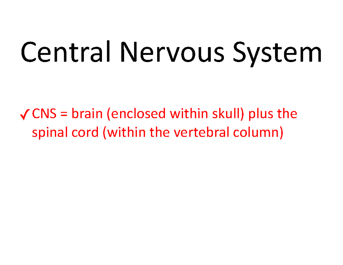 CNS Overview: Lecture 9 Notes on Structure & Functions - Studocu