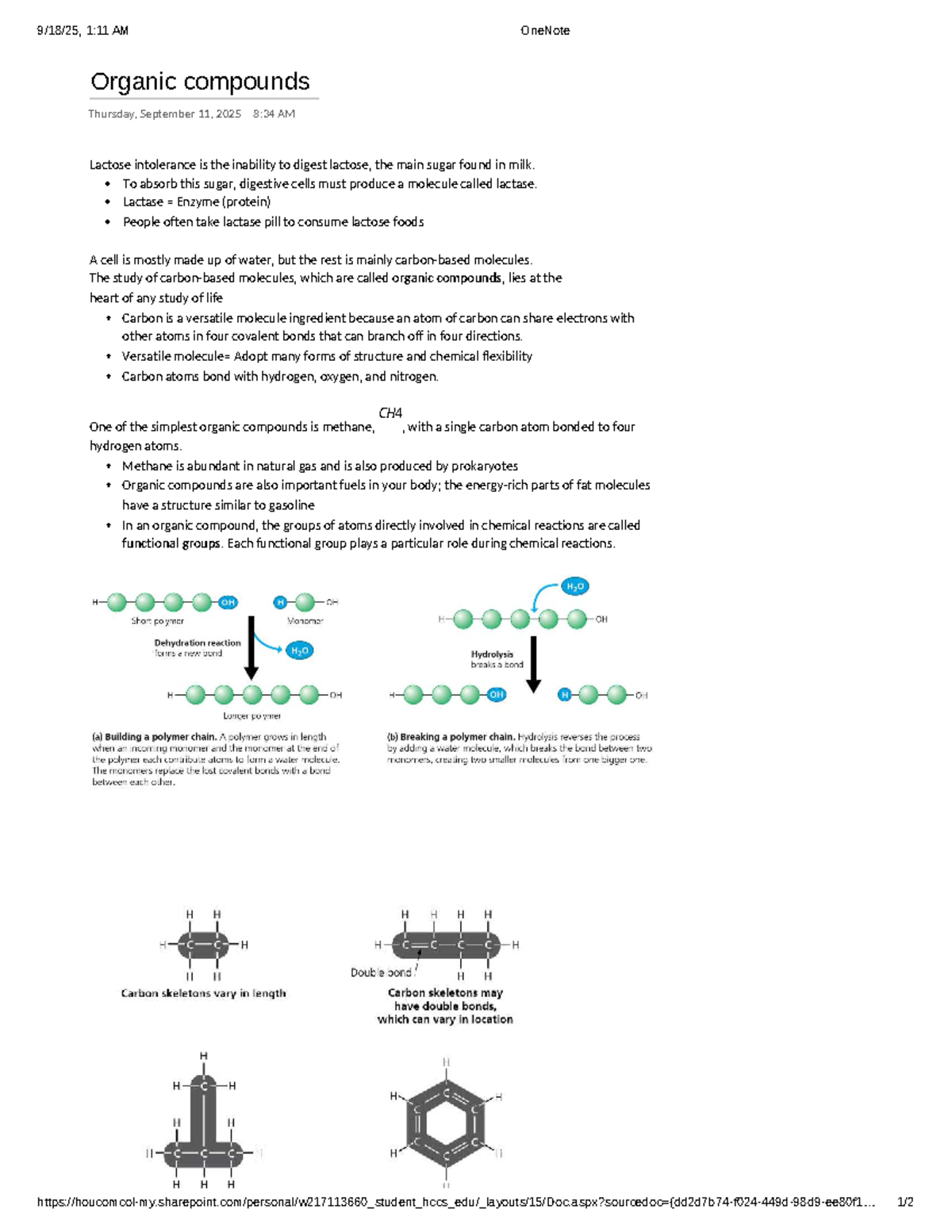 Biology Lecture Notes: Organic Compounds & Macromolecules - Studocu