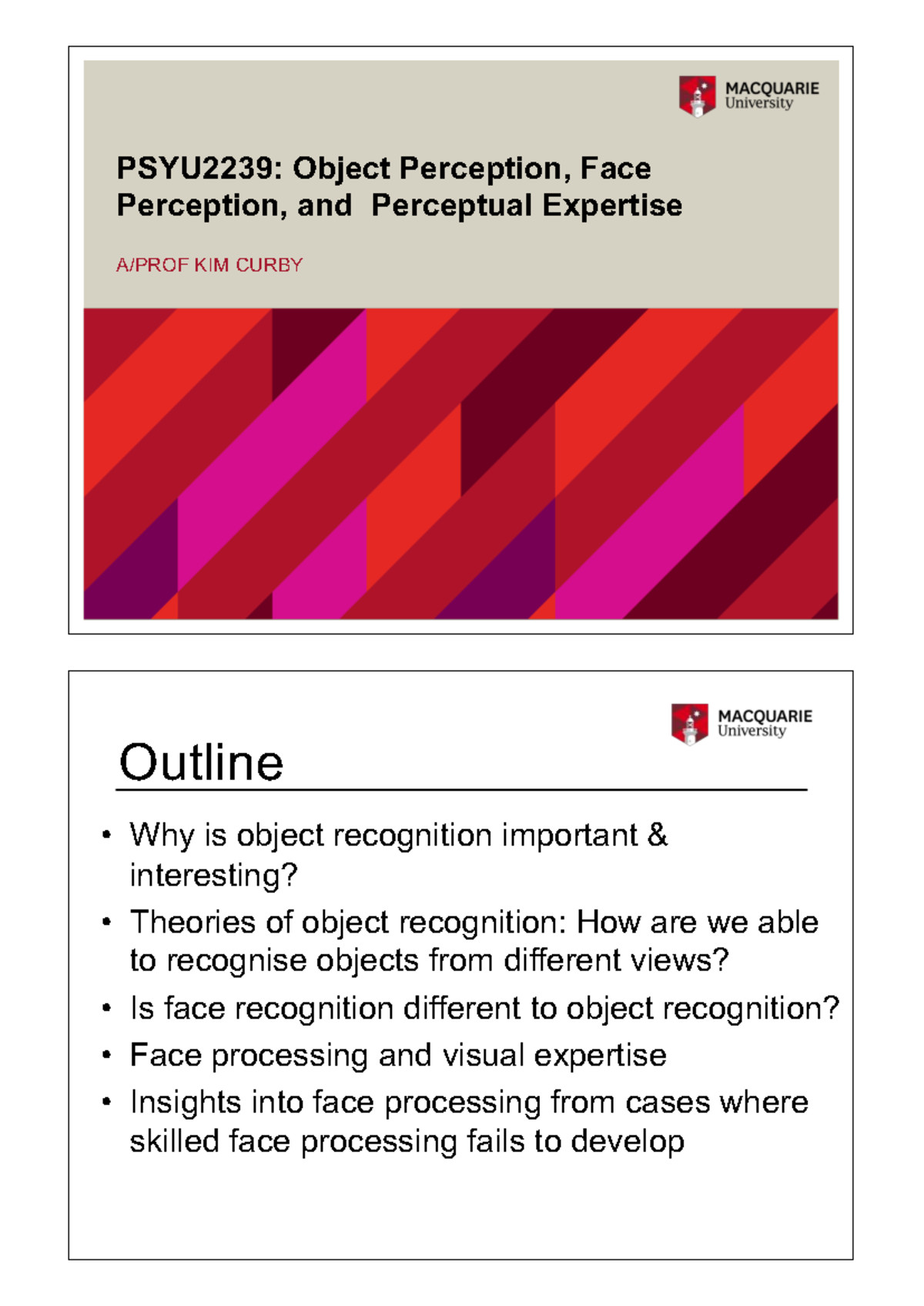 PSYU2239: Object and Face Perception Insights and Theories - Studocu