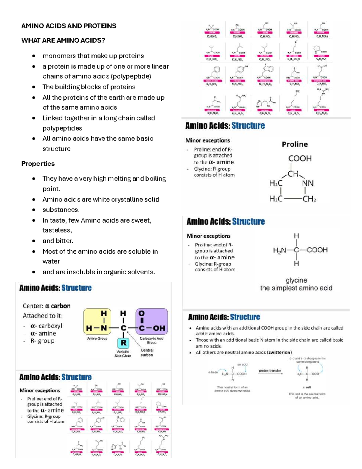 Amino Acids and Proteins: Structure, Types, and Functions (BIO101) - Studocu