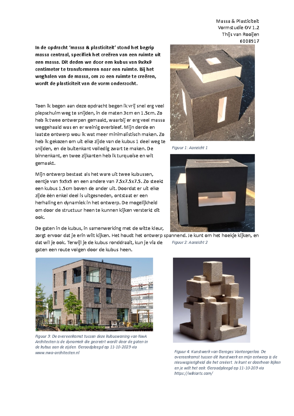 Massa & Plasticiteit: Vormstudie OV 1 - Ontwerp en Analyse - Studeersnel